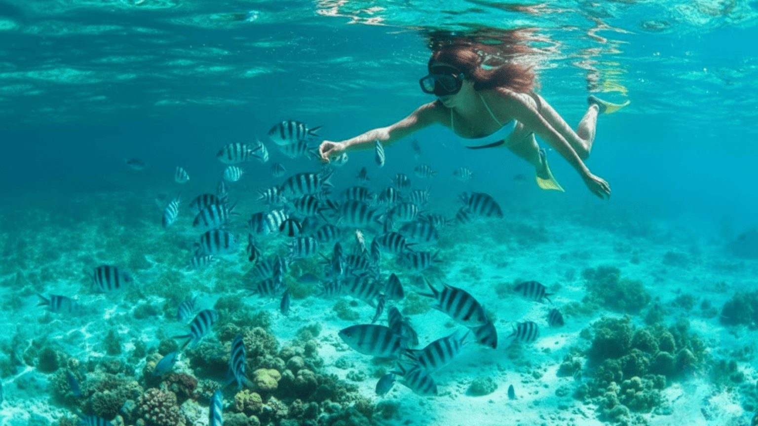 Best Snorkeling in Caribbean: An Ultimate Guide - Airkayaks