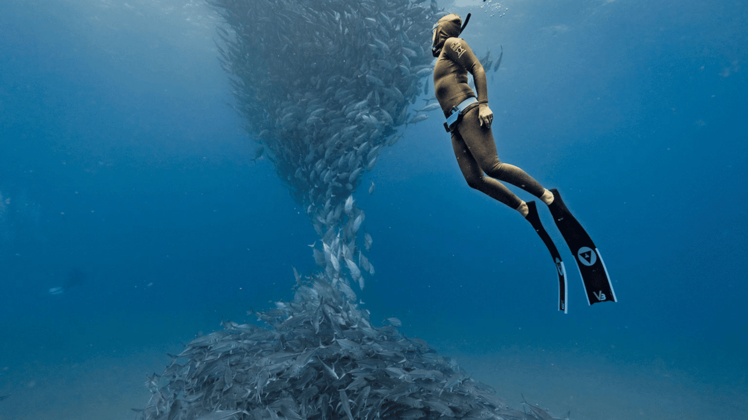 Free Diving for Beginners: History, Techniques & Benefits - Airkayaks